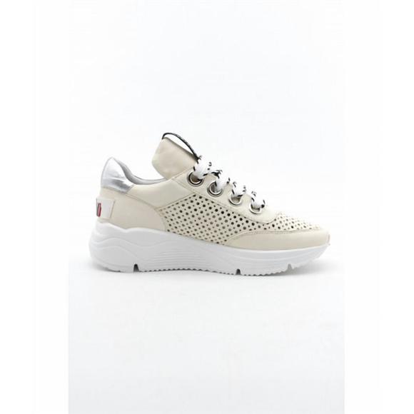 Casta | Shoes | New Casta Womens Binx Vaddia Sneaker In Offwhite | Poshmark